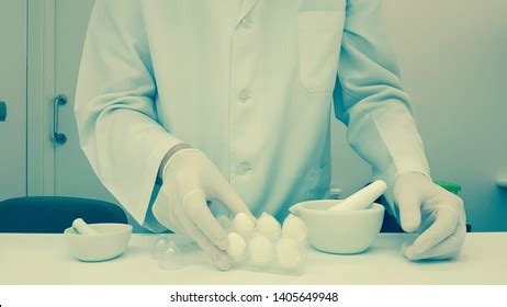 Preparation Vaginal Tablets Pharmacy Laboratory Stock Photo Shutterstock
