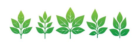 3 Leaf Vector Art Icons And Graphics For Free Download
