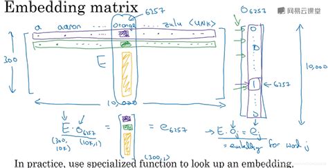 Pytorch入门实战系列三：pytorch与词向量torch 负采样 Csdn博客