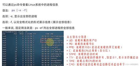 Linux从入门到精通（上） Csdn博客