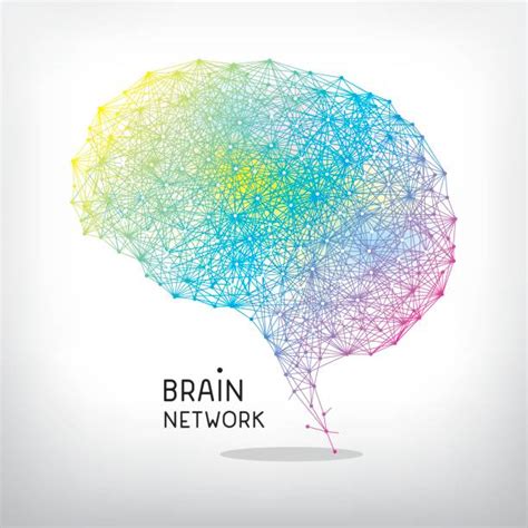 Brain Network