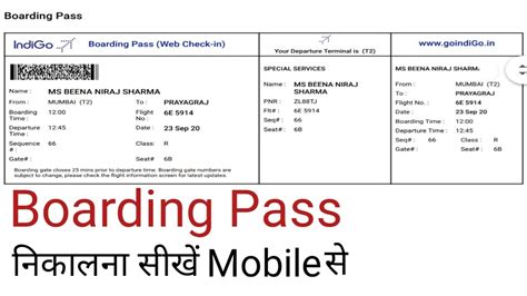 Indigo Web Check In Boarding Pass