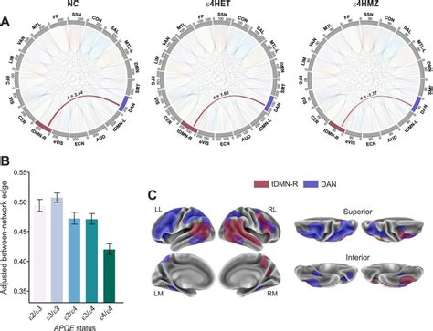 Between Networks Effect Of Apoe ε4 Network Modeling Analysis Retrieved Download Scientific