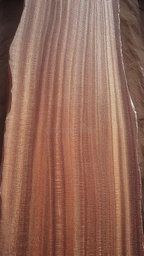 Eucalyptus Wood Showcasing Beautiful Grain Patterns For Outdoor