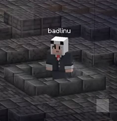 Badlinu Gallery The Realm Smp