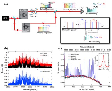 A Experimental Setup For Dual Comb Absorption Spectroscopy B Download Scientific Diagram