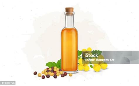 겨자 씨앗과 꽃 벡터 일러스트 레이 션이있는 겨자 기름 병 0명에 대한 스톡 벡터 아트 및 기타 이미지 0명 건강관리와