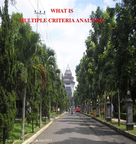 Ppt What Is Multiple Criteria Analysis Powerpoint Presentation Free Download Id3455336