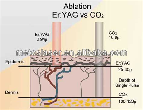 Vagina Penetration Depth Photos Fucking Pics