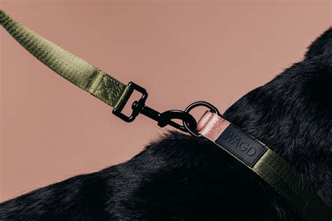 Good Sht For Dogs Wagd