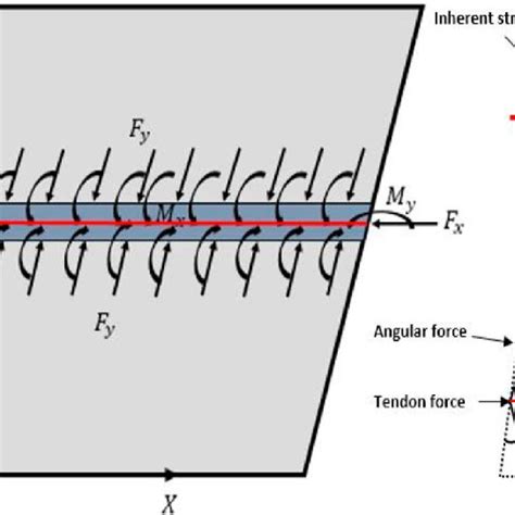 Application Of The Multipoint Constraint Function This Figure Is
