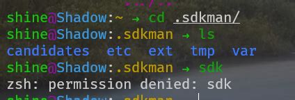 Some Problems About Using The Pengwin Setup Command Issue WhitewaterFoundry Pengwin