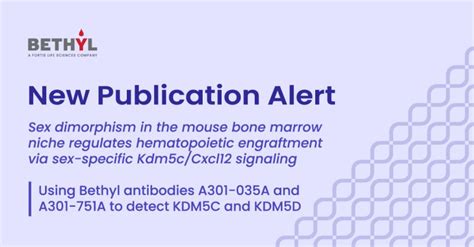 Sex Dimorphism In The Mouse Bone Marrow Niche Regulates Hematopoietic Bethyl Laboratories