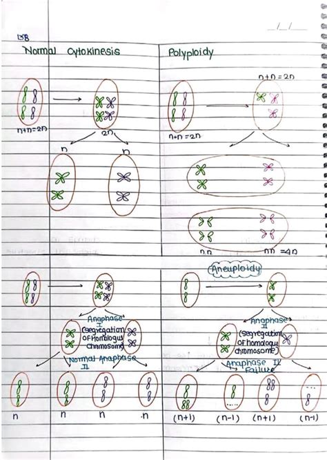 Principles Of Inheritance And Variation Handwritten Notes Pdf Download Shop Handwritten Notes