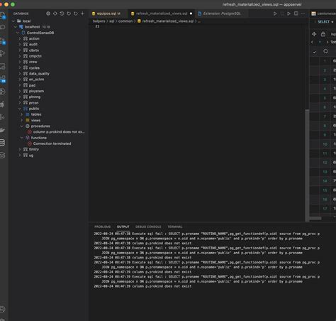 Bug It Is Not Possible To Obtain The Schema Of The Functions And