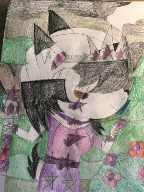 Sonic Ungrounded Crown Princess Starshine Lily By Awesomefoxgirl02