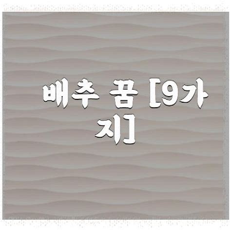 배추 꿈 [9가지]