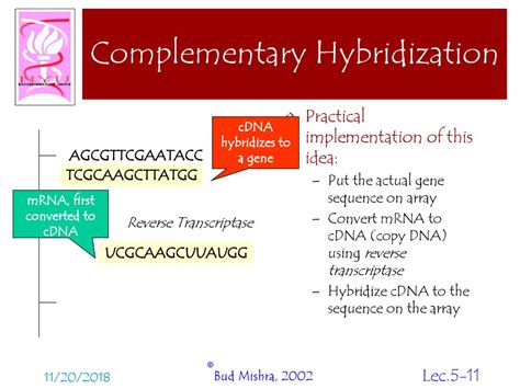Udine Lectures Lecture 5 Microarray Analysis Of Networks Ppt Download