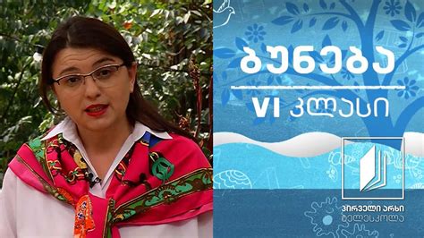 ბუნება Vi კლასი როგორი ნარევები არსებობს ტელესკოლა 1tv