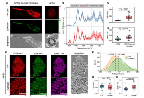 新一代高分辨化学成像显微镜，突破荧光限制，开启生命科学新纪元！资讯中心仪器信息网