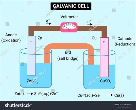 The Structure Of Galvanic Cell Royalty Free Stock Vector 2364048445