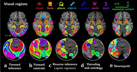 Brain Mapping Cognition On Large Scale