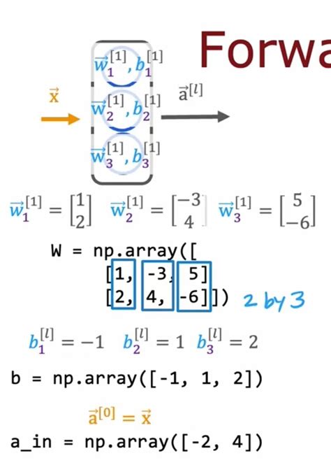 Forward Prop In Numpy Regulation Shape Of Matrix W Advanced Learning Algorithms DeepLearning AI