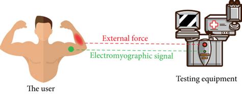 Detection Of Muscle Exercise Fatigue Download Scientific Diagram