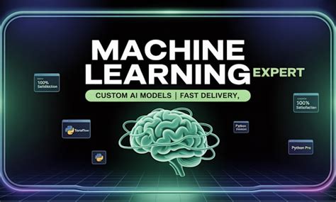 Build And Train A Custom Machine Learning Model By Hmtayyab28 Fiverr