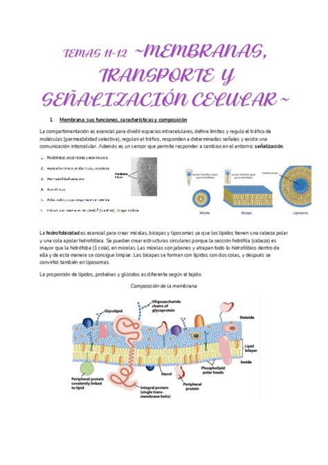 Temas 11 12 Membranas Y Senalizacion 1pdf