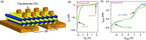 Multidirectional Switchable Memristive Phenomenon A Schematic Of The Download Scientific
