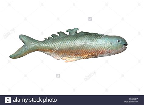 Ordovician Period Jawless Fish