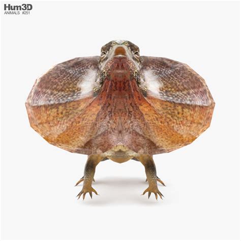 Frilled Lizard Low Poly Rigged 3d Model Download Reptile On