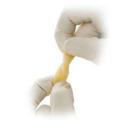 Arthrex Allograft Bone