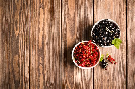 나무 배경에 흰색 그릇에 신선한 잘 익은 빨간 검은 건포도 베리 수평 프레임 위에서 볼 수 있습니다 0명에 대한 스톡 사진 및 기타 이미지 Istock