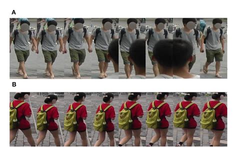 Figure 1 From Aa Rgtcn Reciprocal Global Temporal Convolution Network