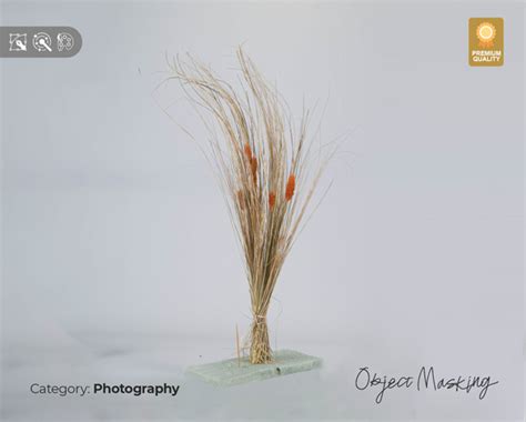 Photoshop Image Masking Service Advanced Background Removal