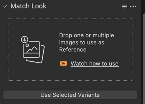Match Look Tool Home