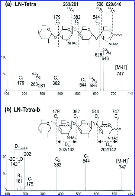Negative Ion Esi Cid Ms Ms Product Ion Spectra Of Lntetra A And Download Scientific Diagram