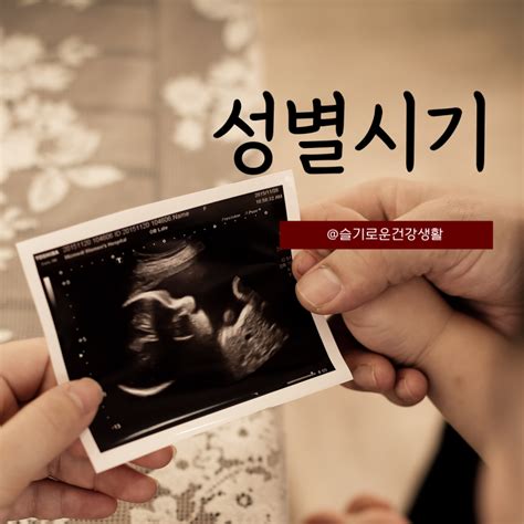 태아 성별 확인 시기 12주 각도법 정리 14주 초음파 사진 네이버 블로그