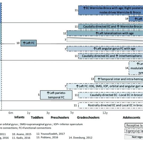overview of task related connectivity patterns in healthy subjects
