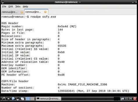Malware Analysis Using REMnux