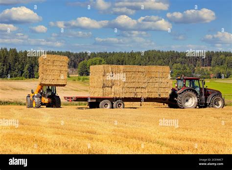 Stacking Straw Bales Onto Valtra Tractor Pulled Agricultural Trailer With Jcb T4 Telehandler In