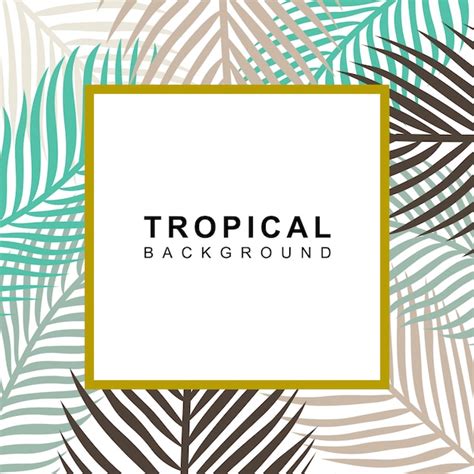 열 대 배경 종 려 잎 프리미엄 벡터