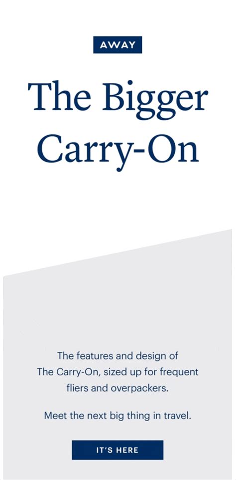 20 Inspirational Brands That Are Killing The Email  Game