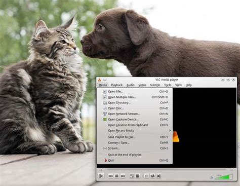 How To Convert Media Files In Linux Linux
