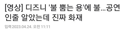미국 디즈니랜드의 불 뿜는 용이 너무 리얼해서 화재 유머 움짤 이슈 에펨코리아
