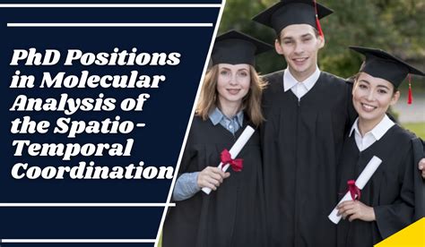 Phd Positions In Molecular Analysis Of The Spatio Temporal Coordination Germany