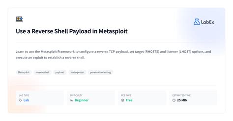Use A Reverse Shell Payload In Metasploit Labex